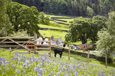 Book Your Yorkshire Camping or Glamping Trip with Howgill Farm